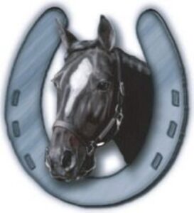 Auctions | Freeman Yoder Auctions